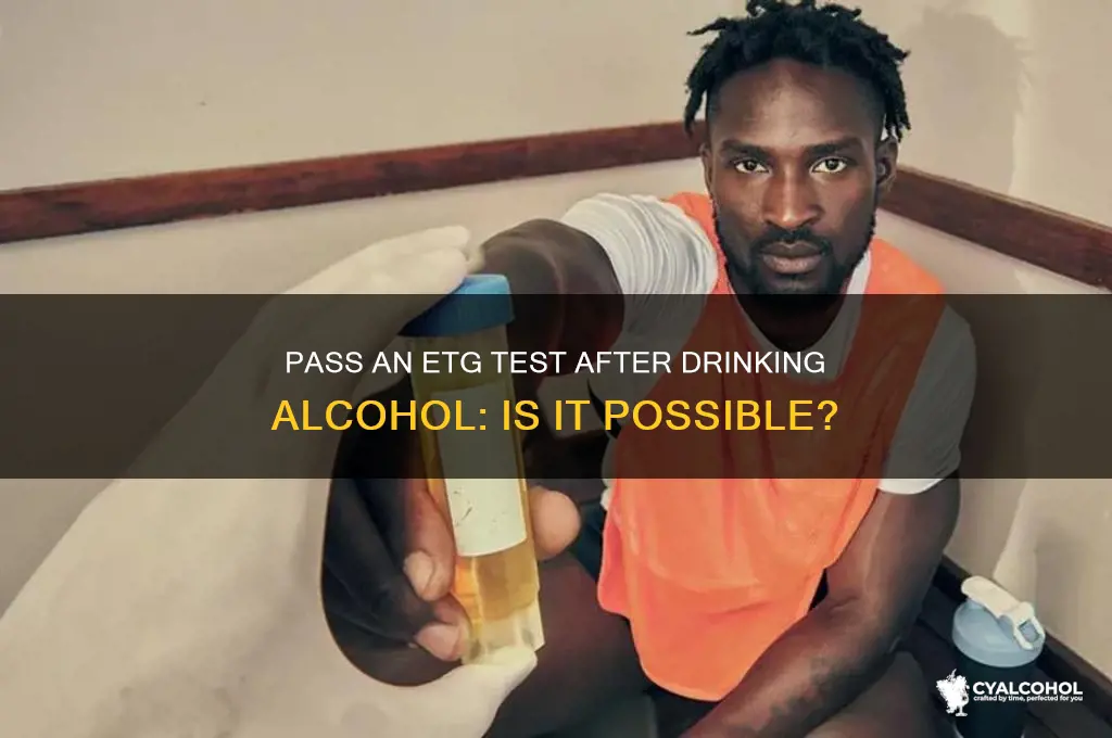 Pass An Etg Test After Drinking Alcohol: Is It Possible? | CyAlcohol