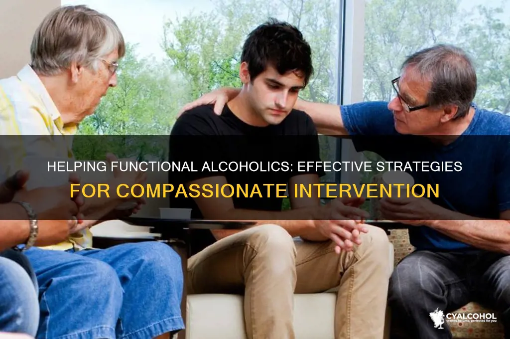 Helping Functional Alcoholics: Effective Strategies For Compassionate ...