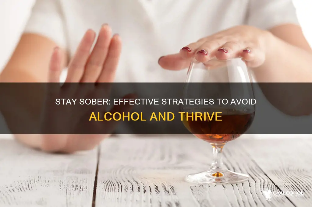 Stay Sober: Effective Strategies To Avoid Alcohol And Thrive | CyAlcohol
