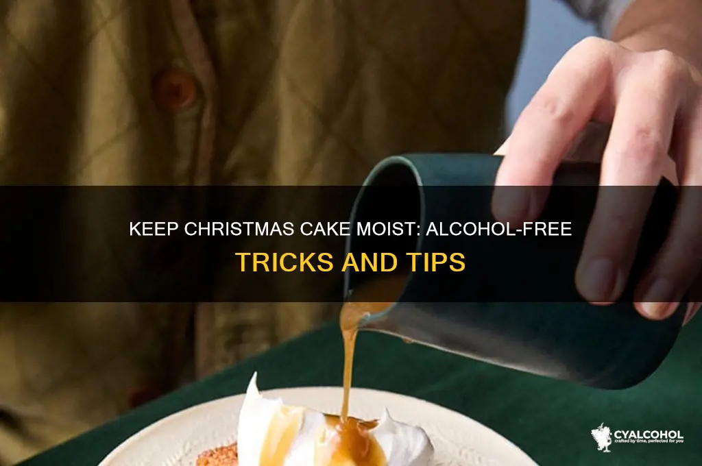 Keep Christmas Cake Moist: Alcohol-Free Tricks And Tips | CyAlcohol