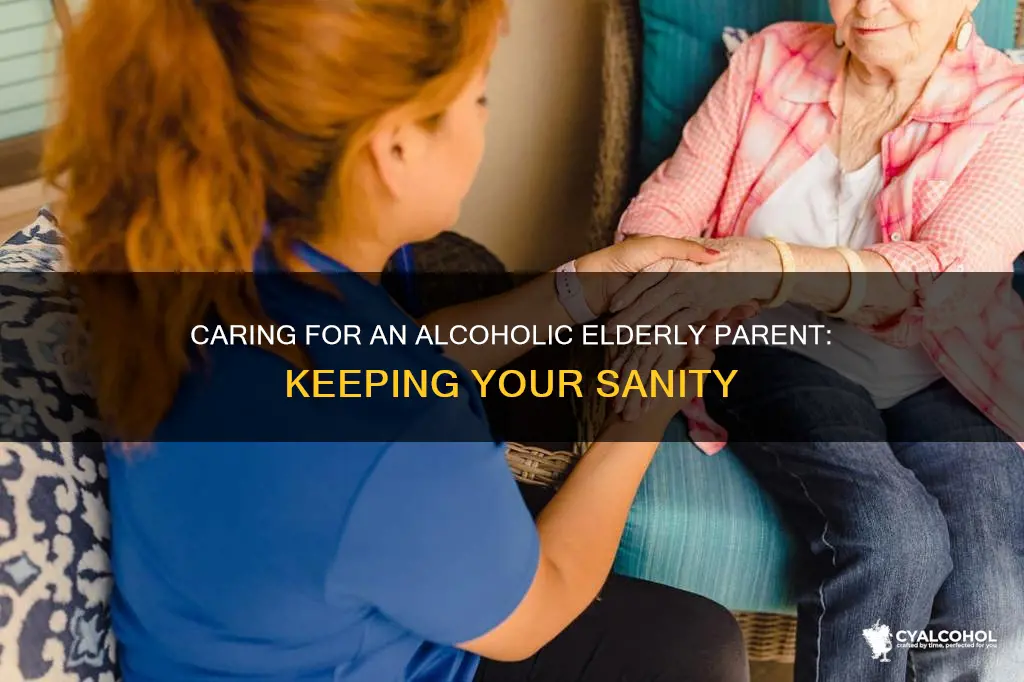 Caring For An Alcoholic Elderly Parent: Keeping Your Sanity | CyAlcohol