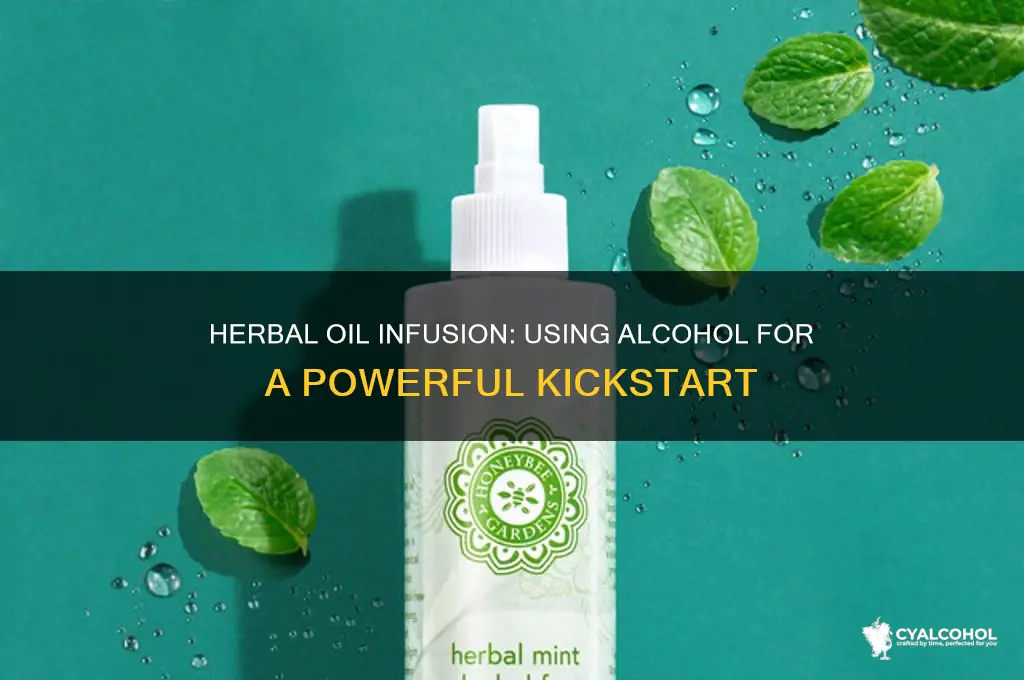 Herbal Oil Infusion: Using Alcohol For A Powerful Kickstart | CyAlcohol