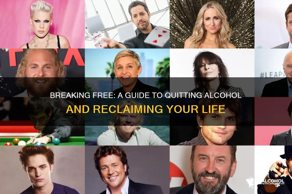 Breaking Free: A Guide To Quitting Alcohol And Reclaiming Your Life ...