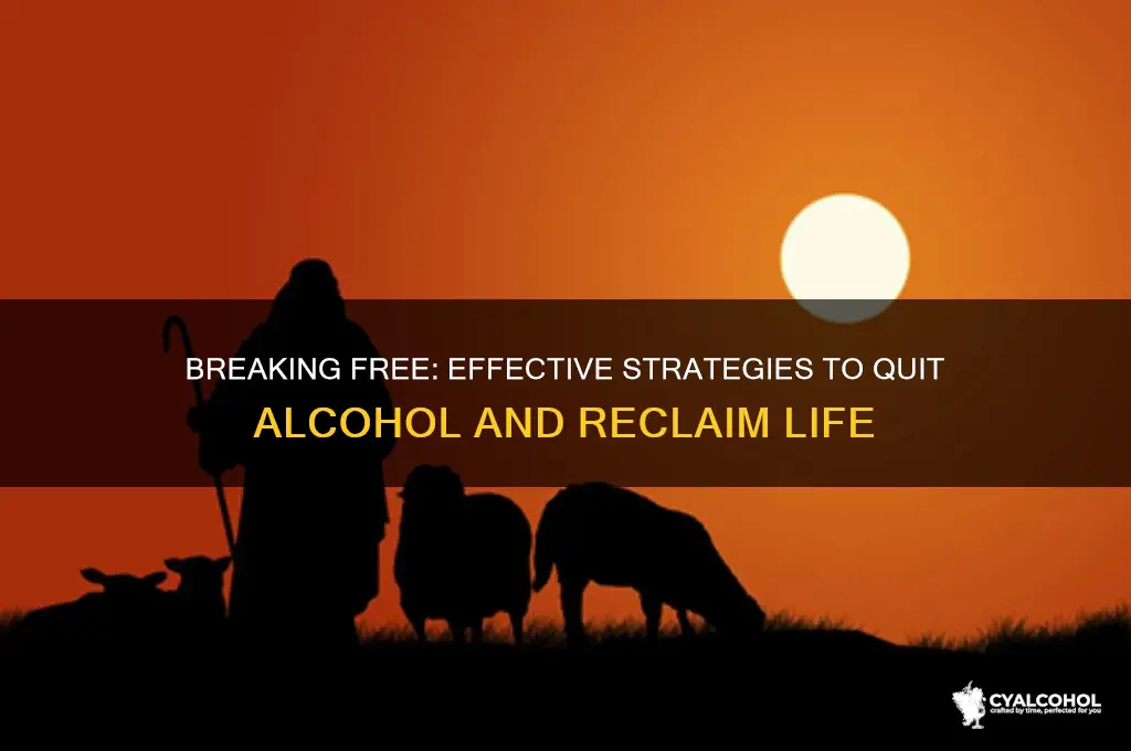 Breaking Free: Effective Strategies To Quit Alcohol And Reclaim Life ...