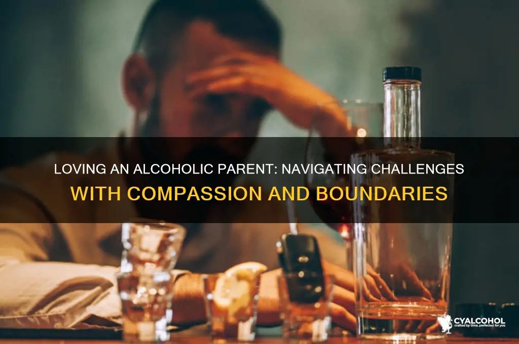 Loving An Alcoholic Parent: Navigating Challenges With Compassion And ...