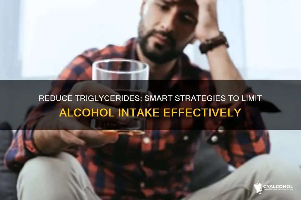 Reduce Triglycerides: Smart Strategies To Limit Alcohol Intake ...