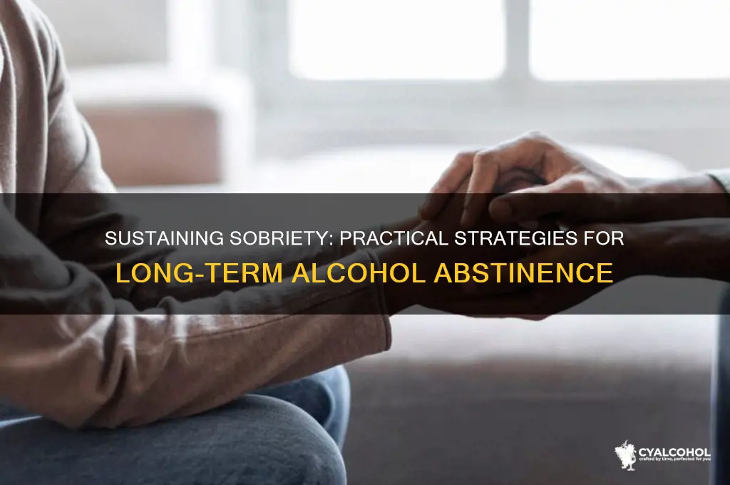 Sustaining Sobriety: Practical Strategies For Long-Term Alcohol ...