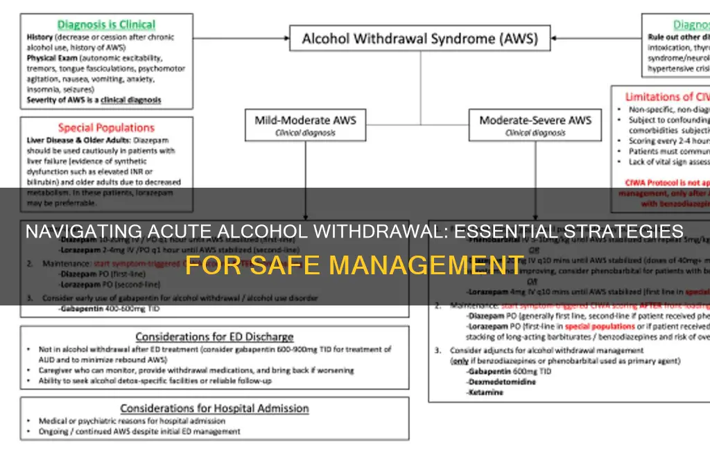 Navigating Acute Alcohol Withdrawal: Essential Strategies For Safe ...