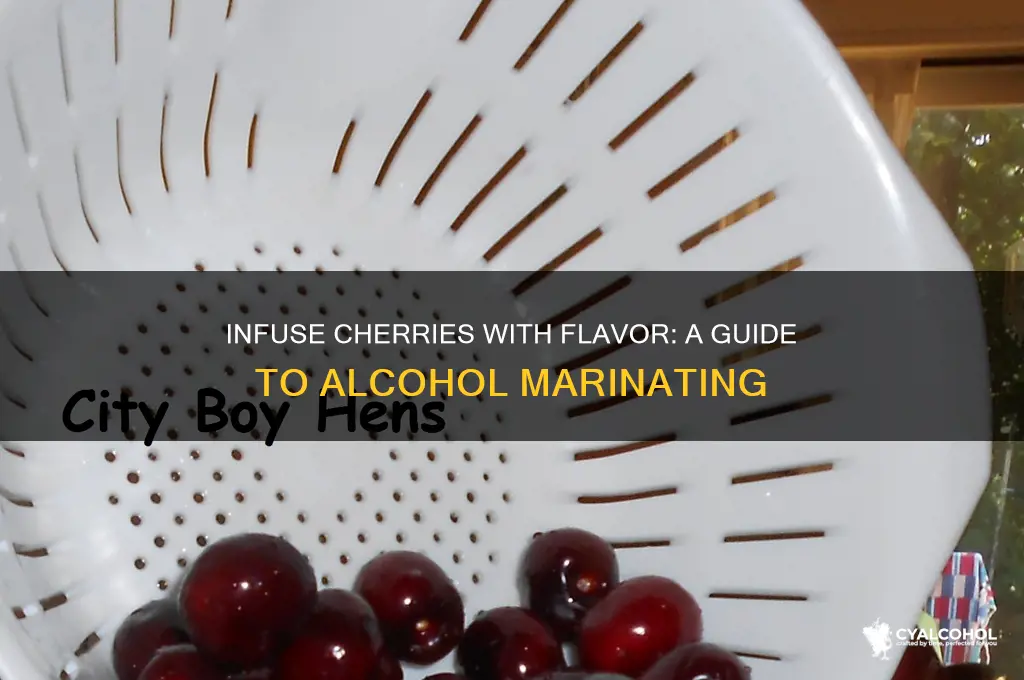 Infuse Cherries With Flavor: A Guide To Alcohol Marinating | CyAlcohol