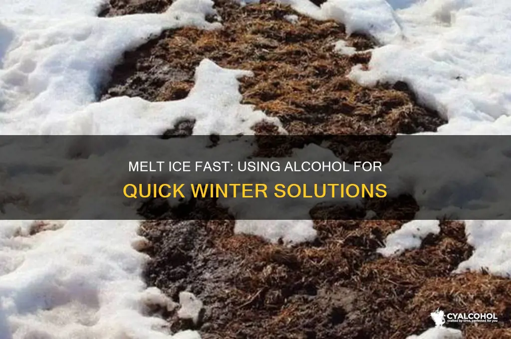 Melt Ice Fast: Using Alcohol For Quick Winter Solutions | CyAlcohol