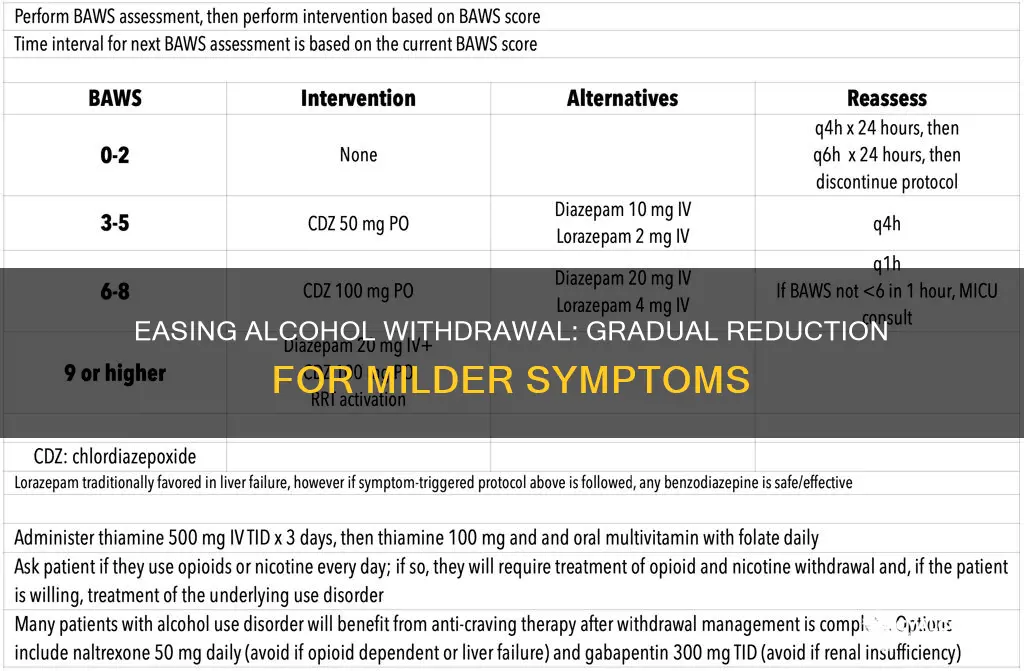 Easing Alcohol Withdrawal: Gradual Reduction For Milder Symptoms ...