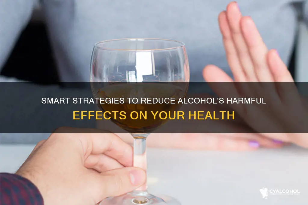 Smart Strategies To Reduce Alcohol's Harmful Effects On Your Health ...