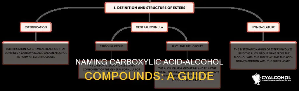 Naming Carboxylic Acid-Alcohol Compounds: A Guide | CyAlcohol