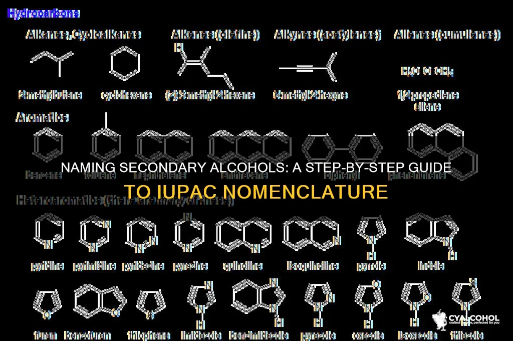 Naming Secondary Alcohols: A Step-By-Step Guide To Iupac Nomenclature ...
