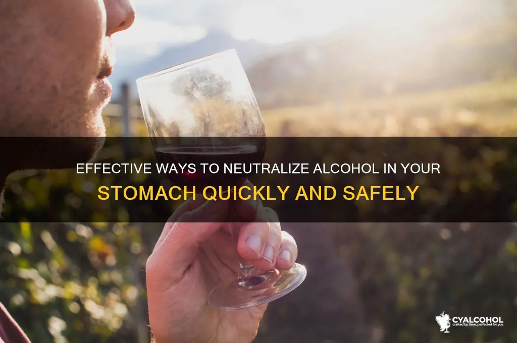 Effective Ways To Neutralize Alcohol In Your Stomach Quickly And Safely ...