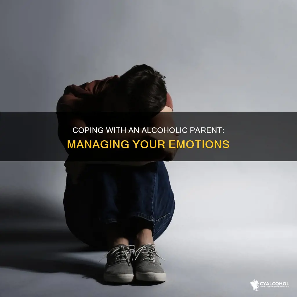 Coping With An Alcoholic Parent: Managing Your Emotions | CyAlcohol