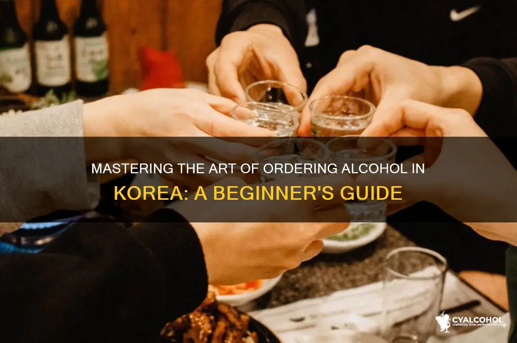 Mastering The Art Of Ordering Alcohol In Korea: A Beginner's Guide ...