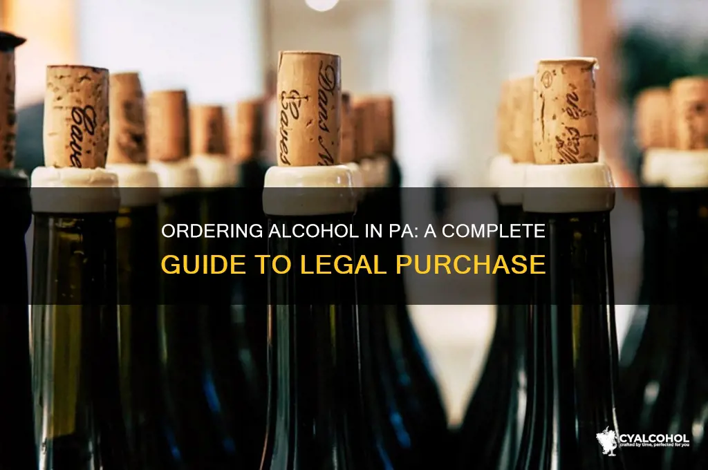 Ordering Alcohol In Pa: A Complete Guide To Legal Purchase | CyAlcohol