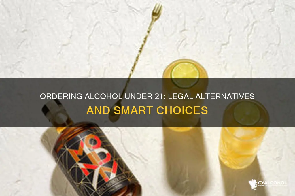 Ordering Alcohol Under 21: Legal Alternatives And Smart Choices | CyAlcohol
