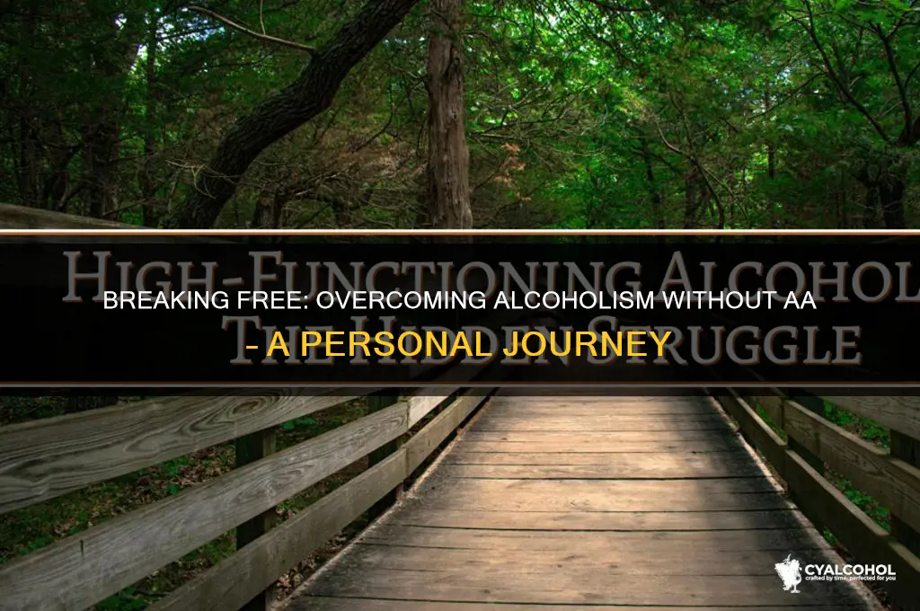 Breaking Free: Overcoming Alcoholism Without Aa – A Personal Journey ...