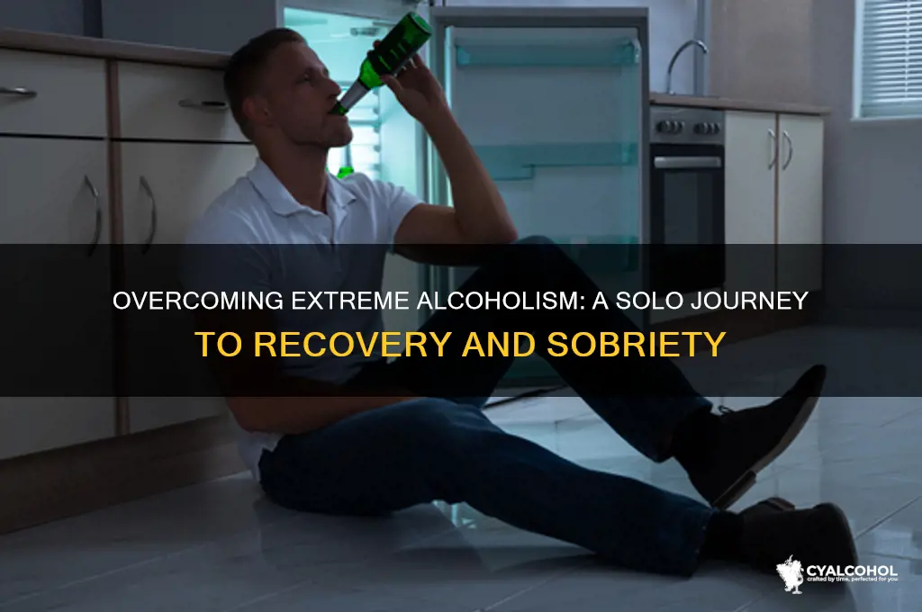 Overcoming Extreme Alcoholism: A Solo Journey To Recovery And Sobriety ...