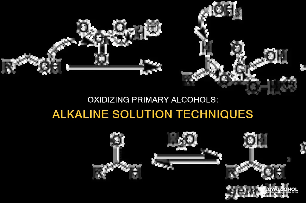 Oxidizing Primary Alcohols: Alkaline Solution Techniques | CyAlcohol