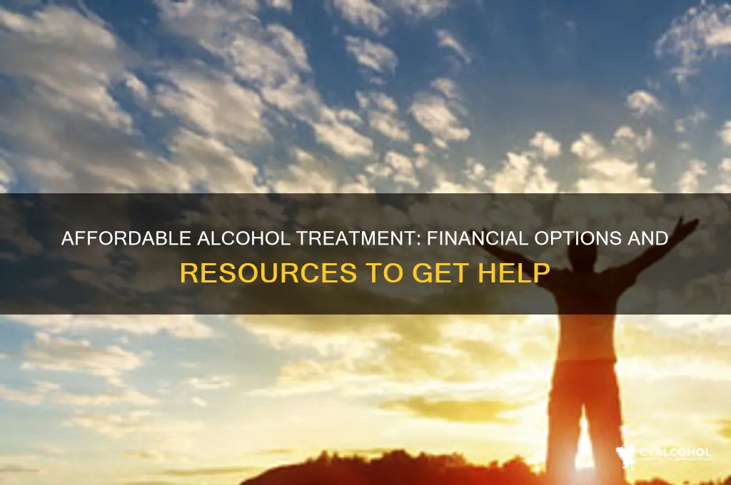 Affordable Alcohol Treatment: Financial Options And Resources To Get ...