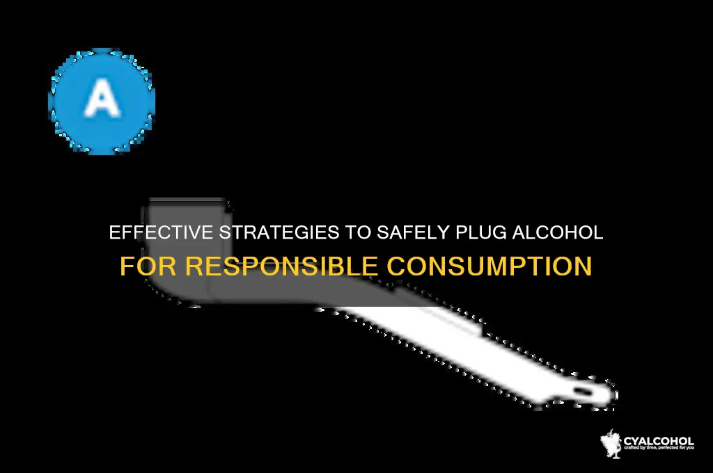 Effective Strategies To Safely Plug Alcohol For Responsible Consumption ...