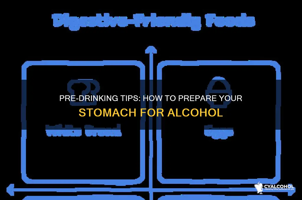Pre-Drinking Tips: How To Prepare Your Stomach For Alcohol | CyAlcohol