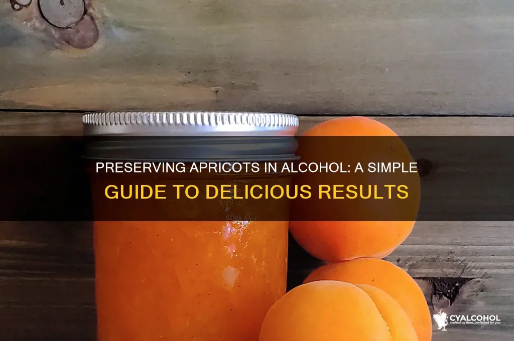 Preserving Apricots In Alcohol: A Simple Guide To Delicious Results ...