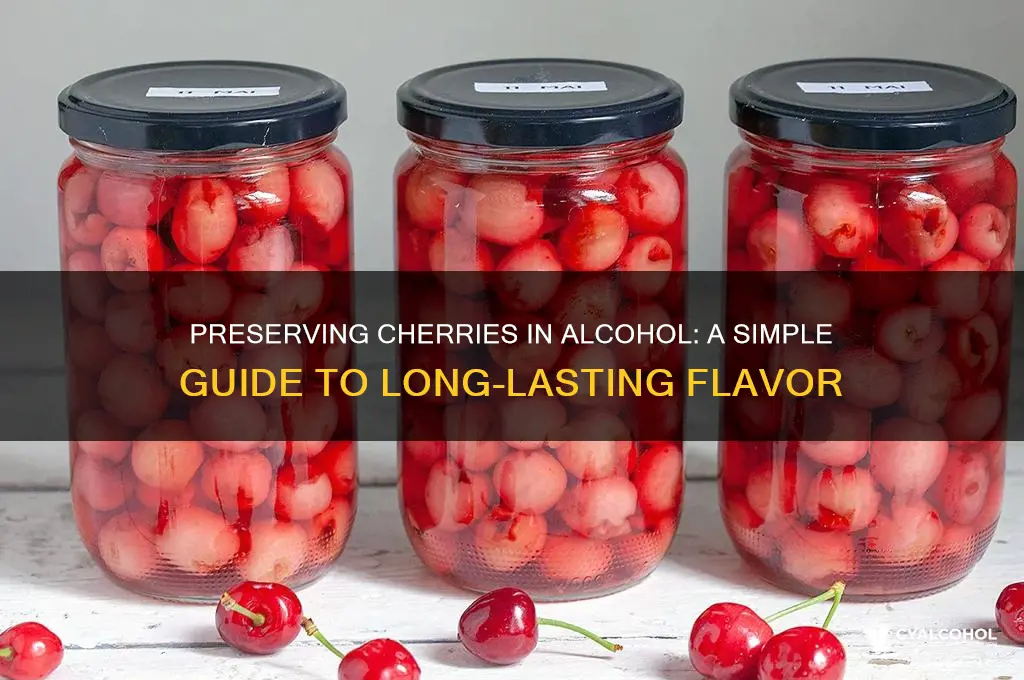 Preserving Cherries In Alcohol: A Simple Guide To Long-Lasting Flavor ...