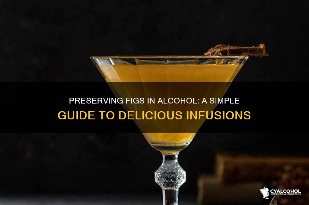 Preserving Figs In Alcohol: A Simple Guide To Delicious Infusions ...
