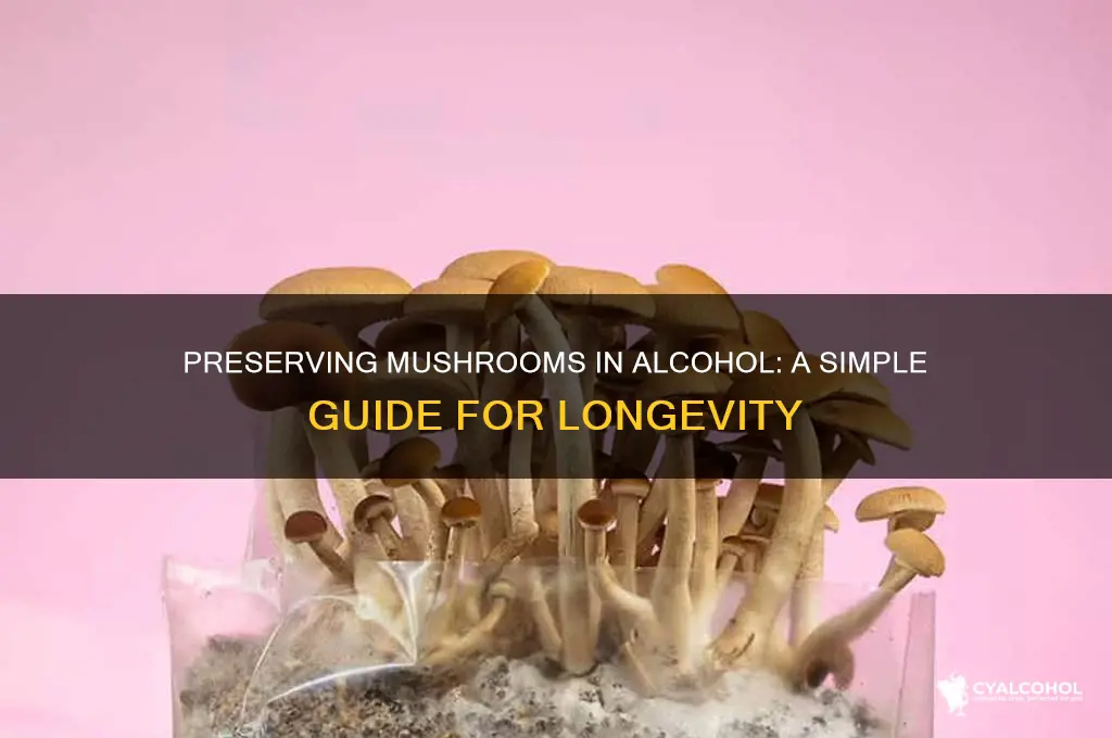 Preserving Mushrooms In Alcohol: A Simple Guide For Longevity | CyAlcohol