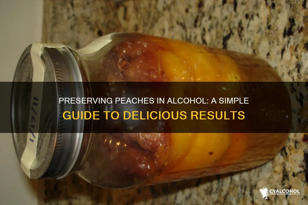 Preserving Peaches In Alcohol: A Simple Guide To Delicious Results ...