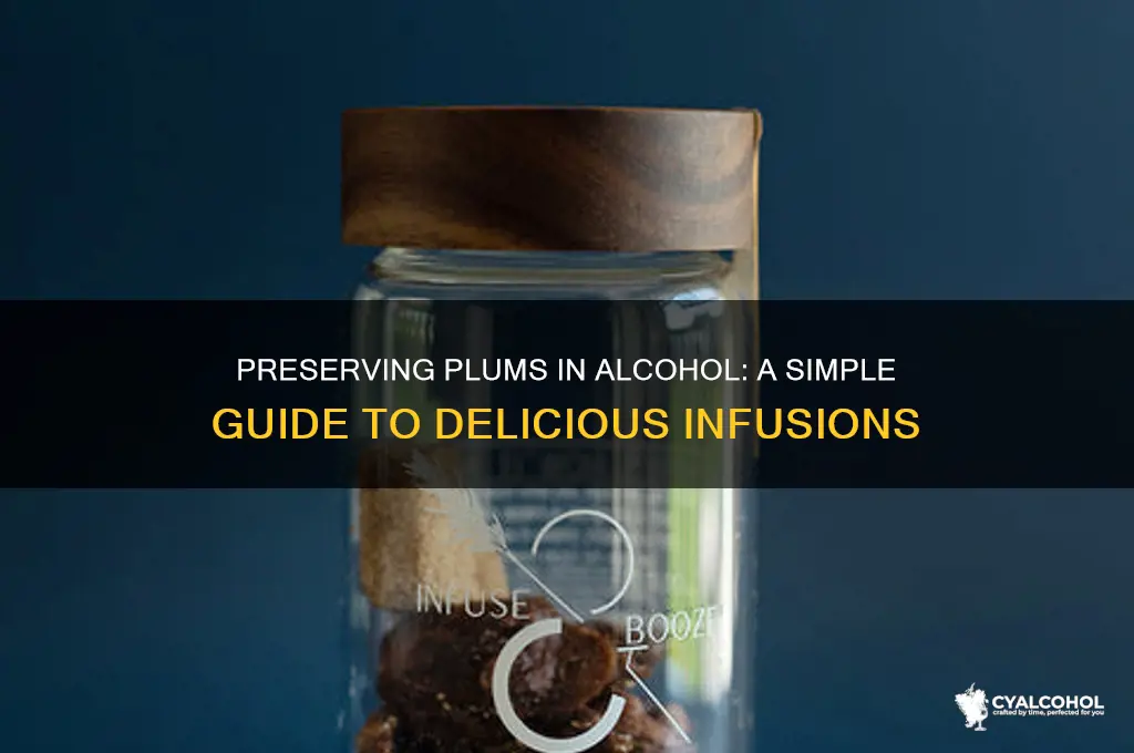 Preserving Plums In Alcohol: A Simple Guide To Delicious Infusions ...