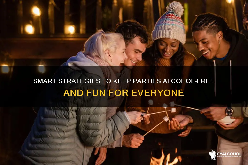 Smart Strategies To Keep Parties Alcohol-Free And Fun For Everyone ...