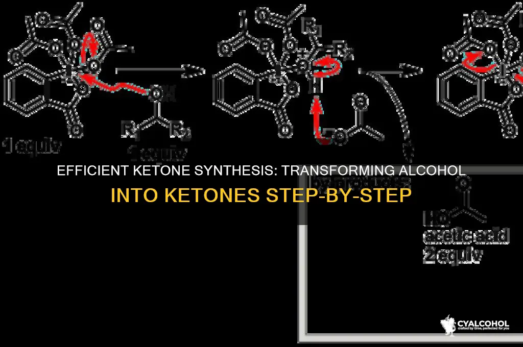Efficient Ketone Synthesis: Transforming Alcohol Into Ketones Step-By ...