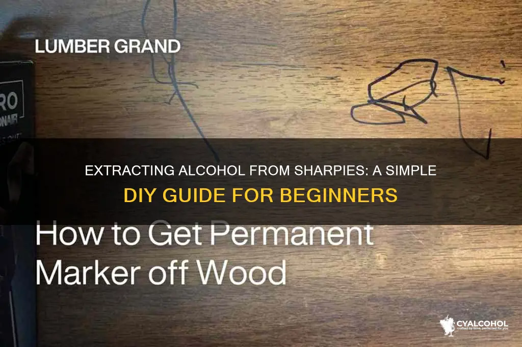 Extracting Alcohol From Sharpies: A Simple Diy Guide For Beginners ...