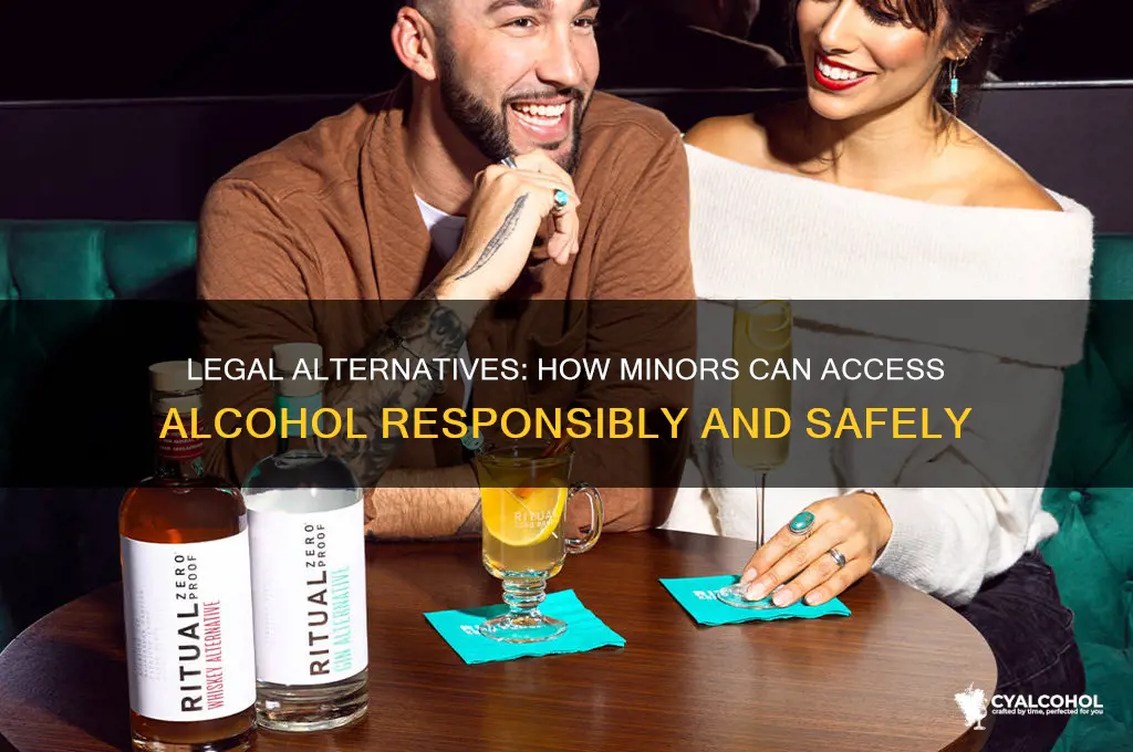Legal Alternatives: How Minors Can Access Alcohol Responsibly And ...