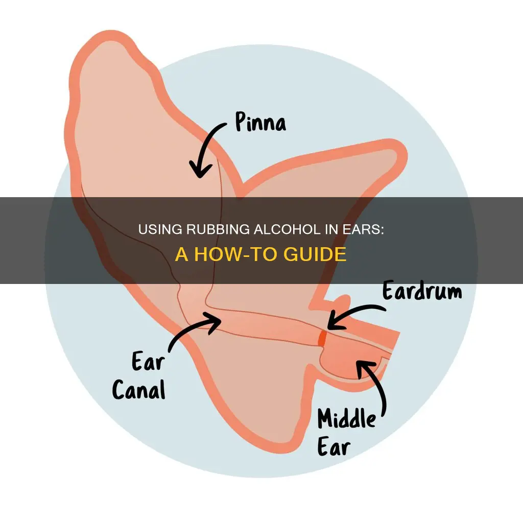 Using Rubbing Alcohol In Ears: A How-To Guide | CyAlcohol