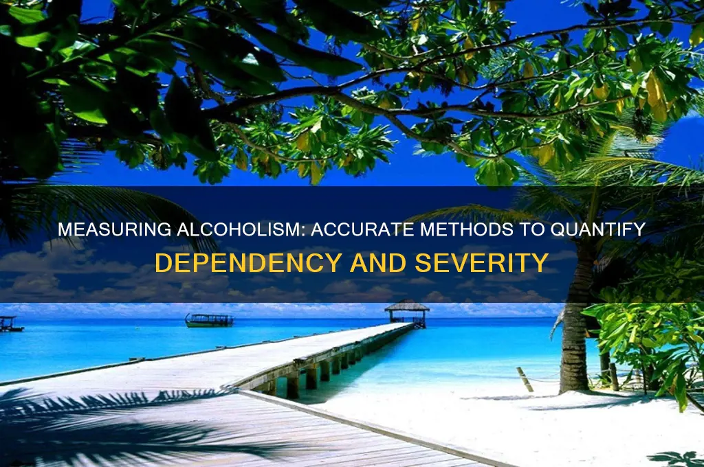 Measuring Alcoholism: Accurate Methods To Quantify Dependency And ...