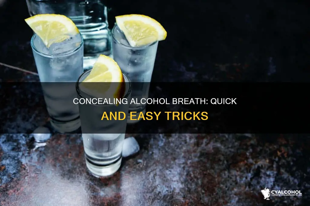 Concealing Alcohol Breath: Quick And Easy Tricks | CyAlcohol