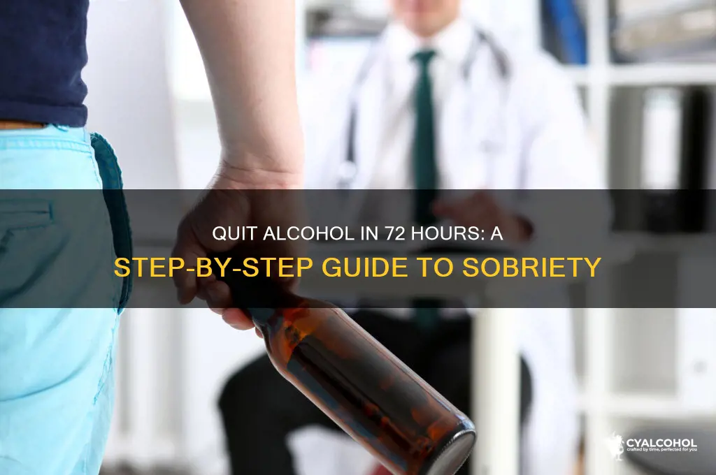 Quit Alcohol In 72 Hours: A Step-By-Step Guide To Sobriety | CyAlcohol