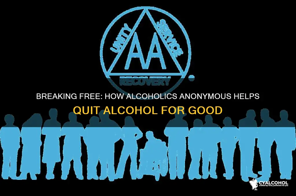 Breaking Free: How Alcoholics Anonymous Helps Quit Alcohol For Good ...