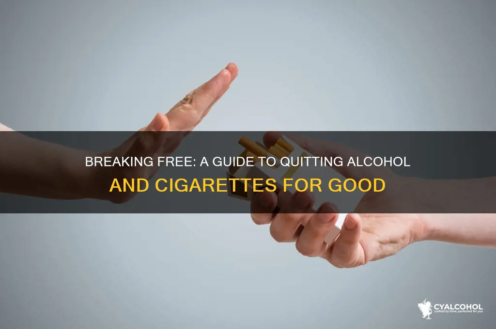 Breaking Free: A Guide To Quitting Alcohol And Cigarettes For Good ...