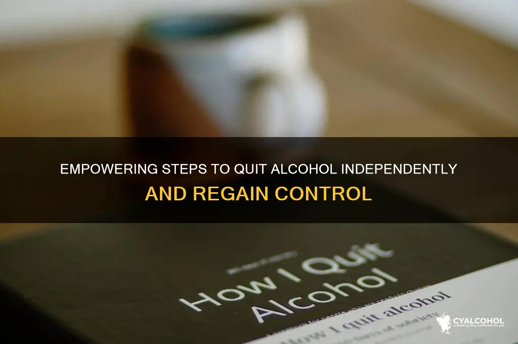 Empowering Steps To Quit Alcohol Independently And Regain Control ...