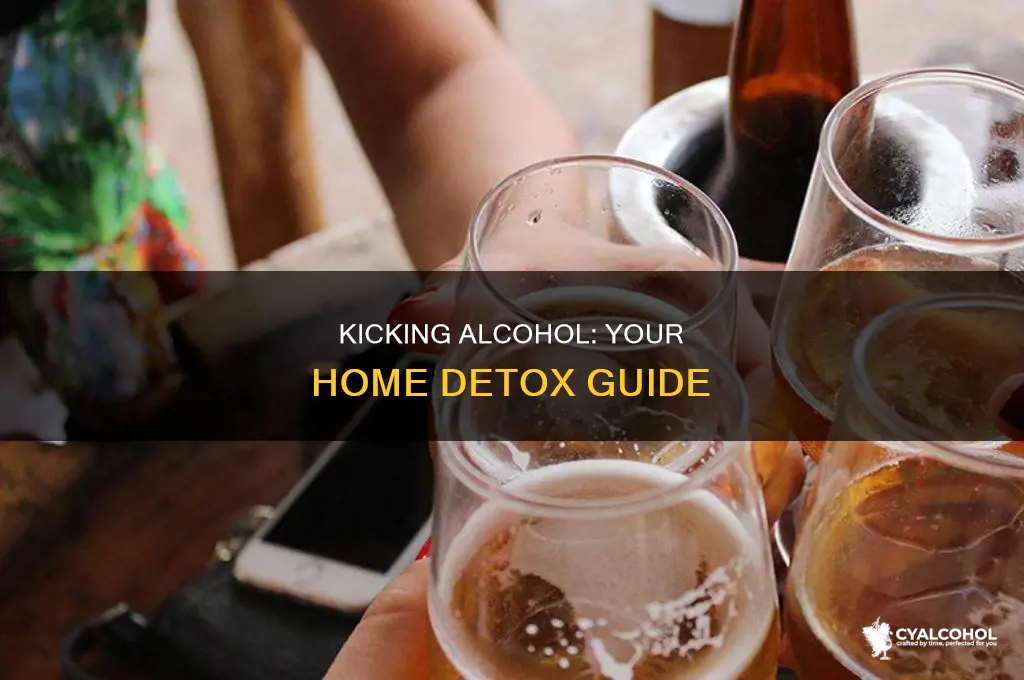 Kicking Alcohol: Your Home Detox Guide | CyAlcohol