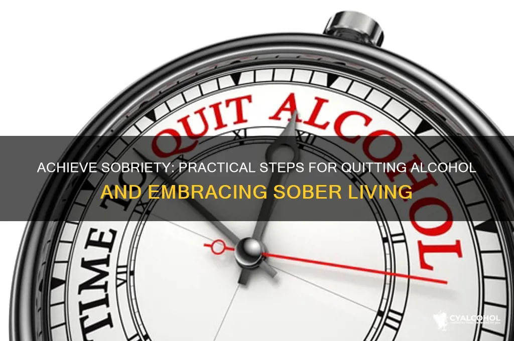 Achieve Sobriety: Practical Steps For Quitting Alcohol And Embracing ...