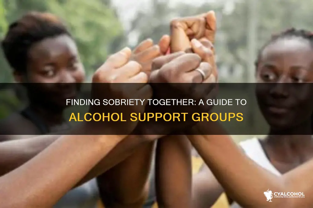Finding Sobriety Together: A Guide To Alcohol Support Groups | CyAlcohol