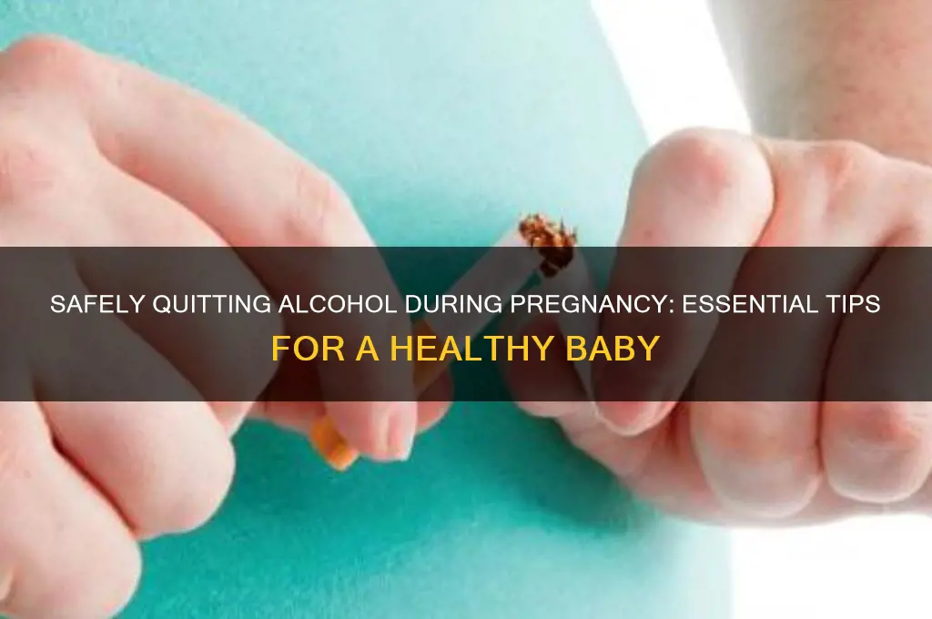 Safely Quitting Alcohol During Pregnancy: Essential Tips For A Healthy ...